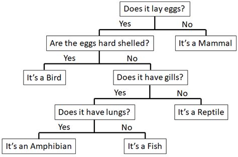 Classification Key Key Stage Wiki