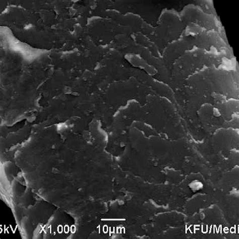 Scanning Electron Microscopy Grade 2 Severe Lift Up Of The Cuticle With Download Scientific