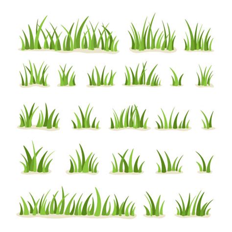 Grass Tuft Illustrations Royalty Free Vector Graphics And Clip Art Istock