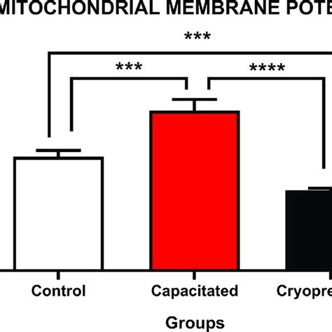 Mitochondrial Membrane Potential Of Of Non Capacitated In Vitro
