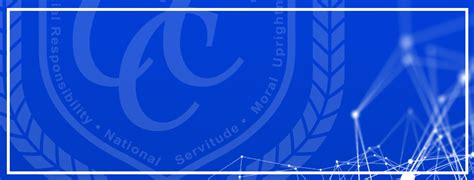 Bonnie Lass Reserved Code Sj3 Garterized Size 25 28 Length 345