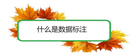 常用数据集标注软件 Csdn博客