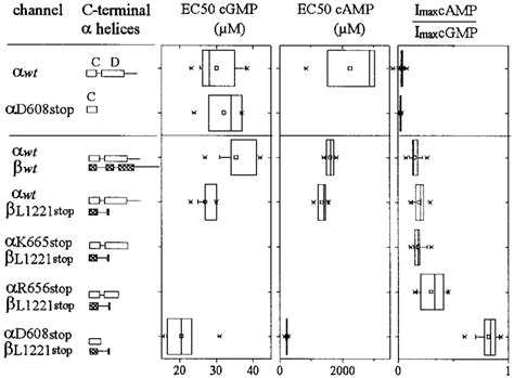 Summary Of The Effect Of C Terminal Truncations Of And Subunits On Ec Download Scientific