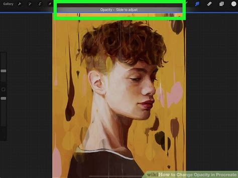 Simple Ways To Change Opacity In Procreate Steps