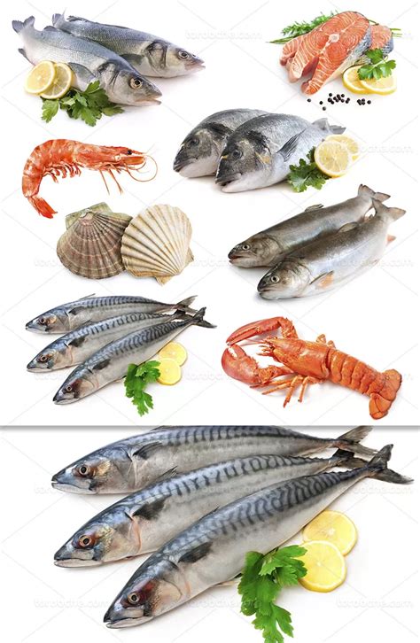 عکس غذاهای دریایی گرافیک با طعم تربچه طرح لایه باز