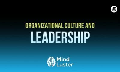 Learn Organizational Culture And Leadership Mind Luster