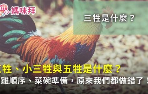 三牲小三牲與五牲是什麼剁雞順序菜碗準備原來我們都做錯了冬瓜行旅生命禮儀 媽咪拜MamiBuy