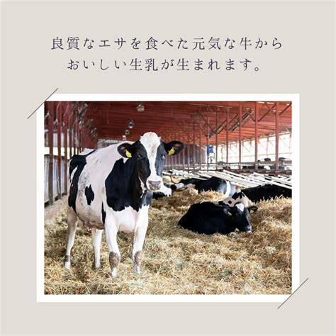 【楽天市場】北海道小林牧場物語 濃厚ヨーグルト プレーンタイプ 800g 2袋・4袋・6袋・12袋 新札幌乳業 北海道から産地直送 お