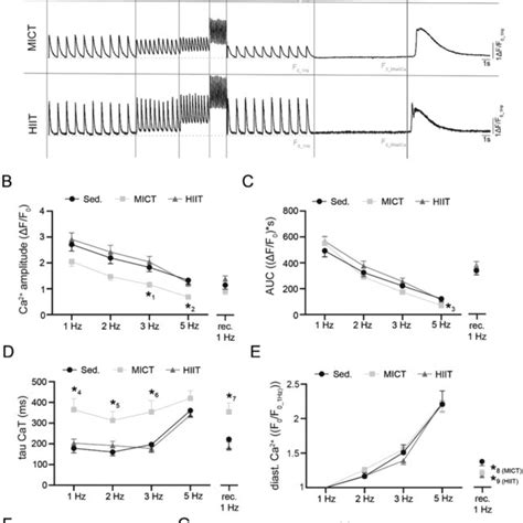 Representative Examples Of The Experimental Protocol A Ca²⁺ Download Scientific Diagram
