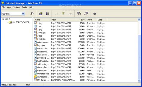 Uninstall Manager Review Softpedia