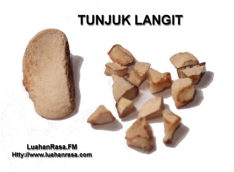 Tips Kesihatan Ubat Tunjuk Langit