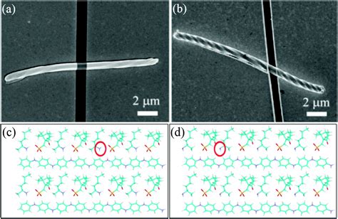Chiral Conducting Polymer Nanomaterials Synthesis And Applications In