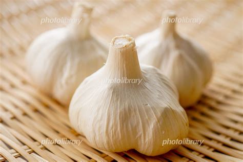 にんにく 写真素材 5559103 フォトライブラリー Photolibrary