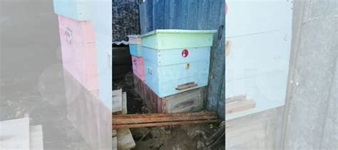 Улей для пчел бу купить в Туймазах Животные и зоотовары Авито