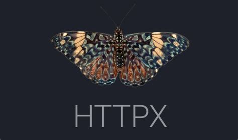 Friendly Fuzzing Tests In Python Intro By Pavel Lonkin Python In