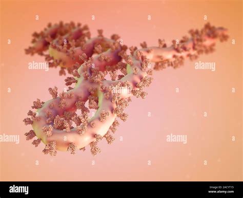 Computer Illustration Of An Ebola Virus Particle Seen On The Viral Surface Are Trimeric