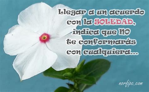 Frases De Estar Sola O Solo Y Feliz