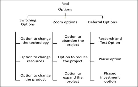 1 Real Option Classification Download Scientific Diagram