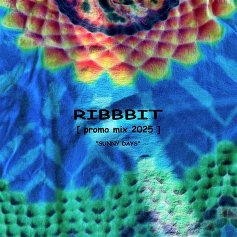 Stream Ribbbit Promo Mix 2025 All Original By Ribbbit Listen Online For Free On Soundcloud