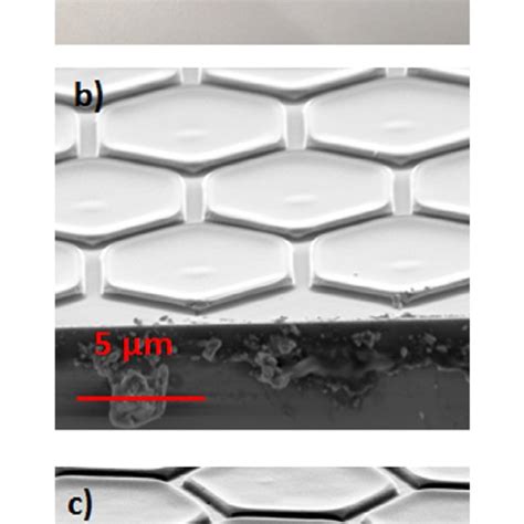 Sem Micrograph Of The A Pdms Mold Used In The Experiments Inner