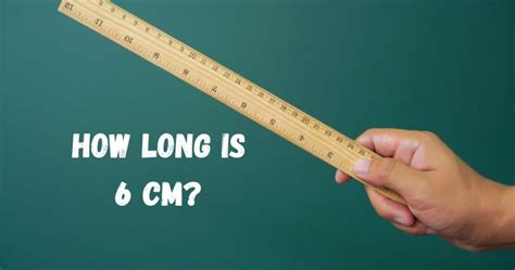 How Big Is 6 Cm Most Common Things That Are 6 Cm Long