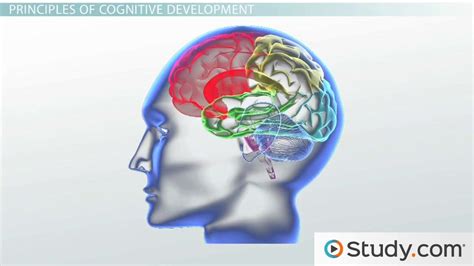 Adolescence Cognitive Development