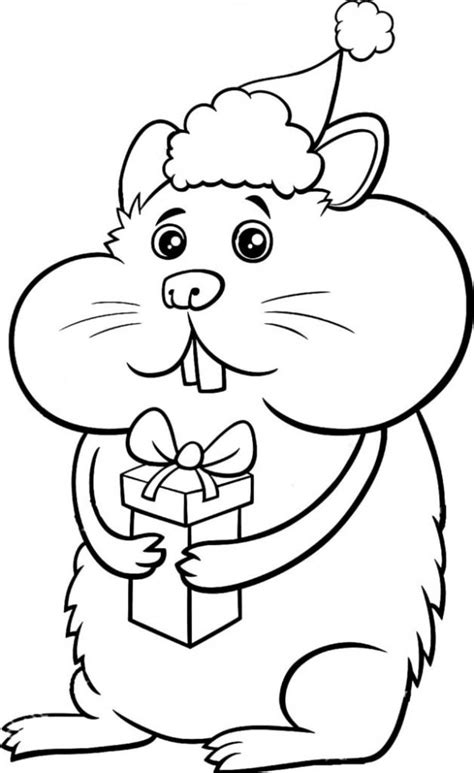 Раскраска Новогодний хомяк распечатать бесплатно скачать