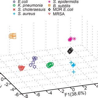 Transformed Score Of The Fluorescence Response Pattern For Eight Kinds