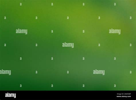 Greeen Abstract Background For Ad Or Web Design Macros Of Plant Leaf Stock Photo Alamy