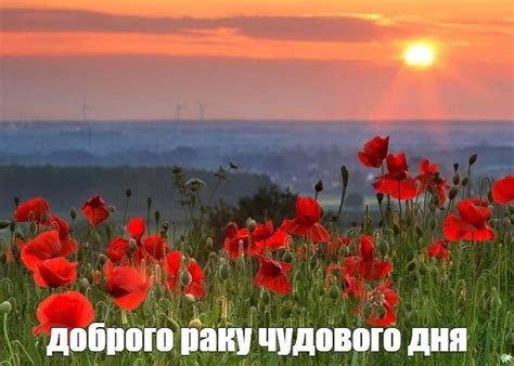 Meme доброго раку чудового дня All Templates Meme
