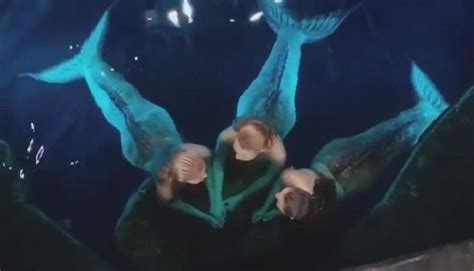 Lyla Nixie And Sirena Mako Mermaids H2o Mermaids Mermaid Photography