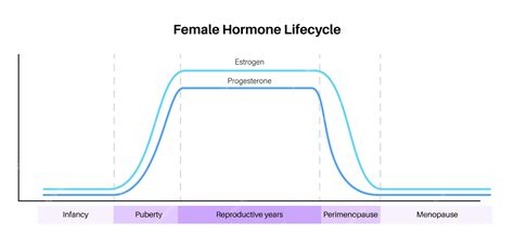 Premium Vector Female Hormones Lifestyle Graph Estrogen End