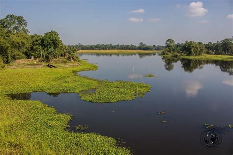 Cheeky Passports The Magic Of Majuli Island One Of The Best Places To