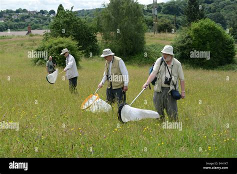 Entomologists Sweep Netting For Invertebrates Survey Of The Lodge Field Stock Photo Alamy