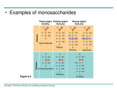 The Structure And Function Of Macromolecules Ppt Download