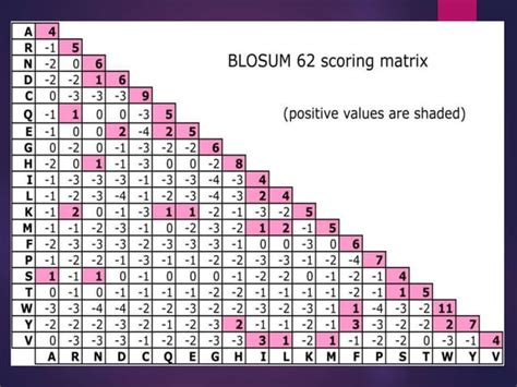 Blast Features Typesalgorithm Working Etc Pptx