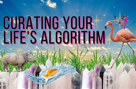 Curating Your Lifes Algorithm