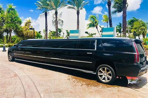 Miami Madness The Ultimate Nightlife Experience Getyourguide