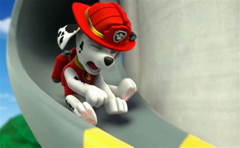 Pin De Matt Davies Em Paw Patrol Patrulha Canina Patrulha Caninos