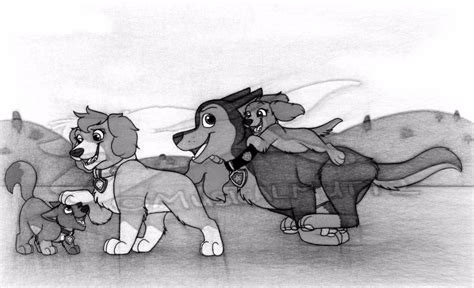 Skye And Chase Fanarts Paw Patrol Fan Art 40187465 Fanpop