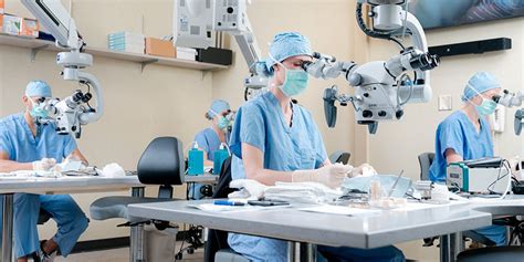 Microsurgery Training Center Academics Mayo Clinic College Of