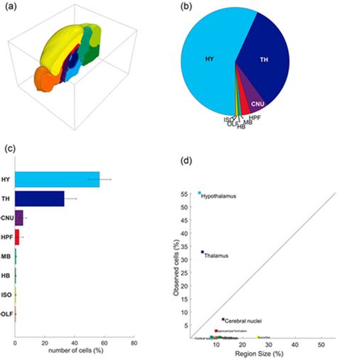Uncovering The Brain Wide Pattern Of Synaptic Input To Vasopressin