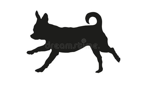 Silueta De Perro Negro Popa Chihuahua Aislado Sobre Un Fondo Blanco