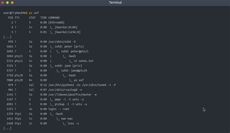 github pr1vesc hacking linux hacking linux