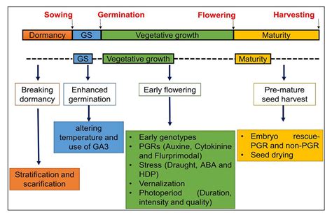 Revolutionizing Crop Production The Imperative Of Speed Breeding Technology In Modern Crop