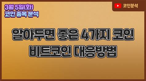 3월 5일 비트코인리스크스트라티스스트라이크스팀스팀달러 차트분석 비트코인 스팀달러전망 스팀전망 알트코인추천 Youtube