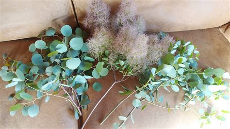 ︎スワッグにいかが？スモークツリーandユーカリ2種のボリュームセット ︎：広島県産の花・植物｜食べチョク｜産地直送産直お取り寄せ通販