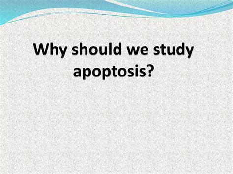 Apoptosis Ppt Ppt