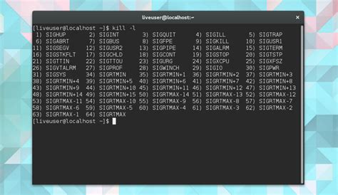 How To Kill Programs And Check System Information In Linux