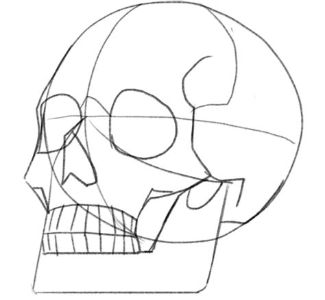 Skull Drawing Guide In Easy Steps Video Images